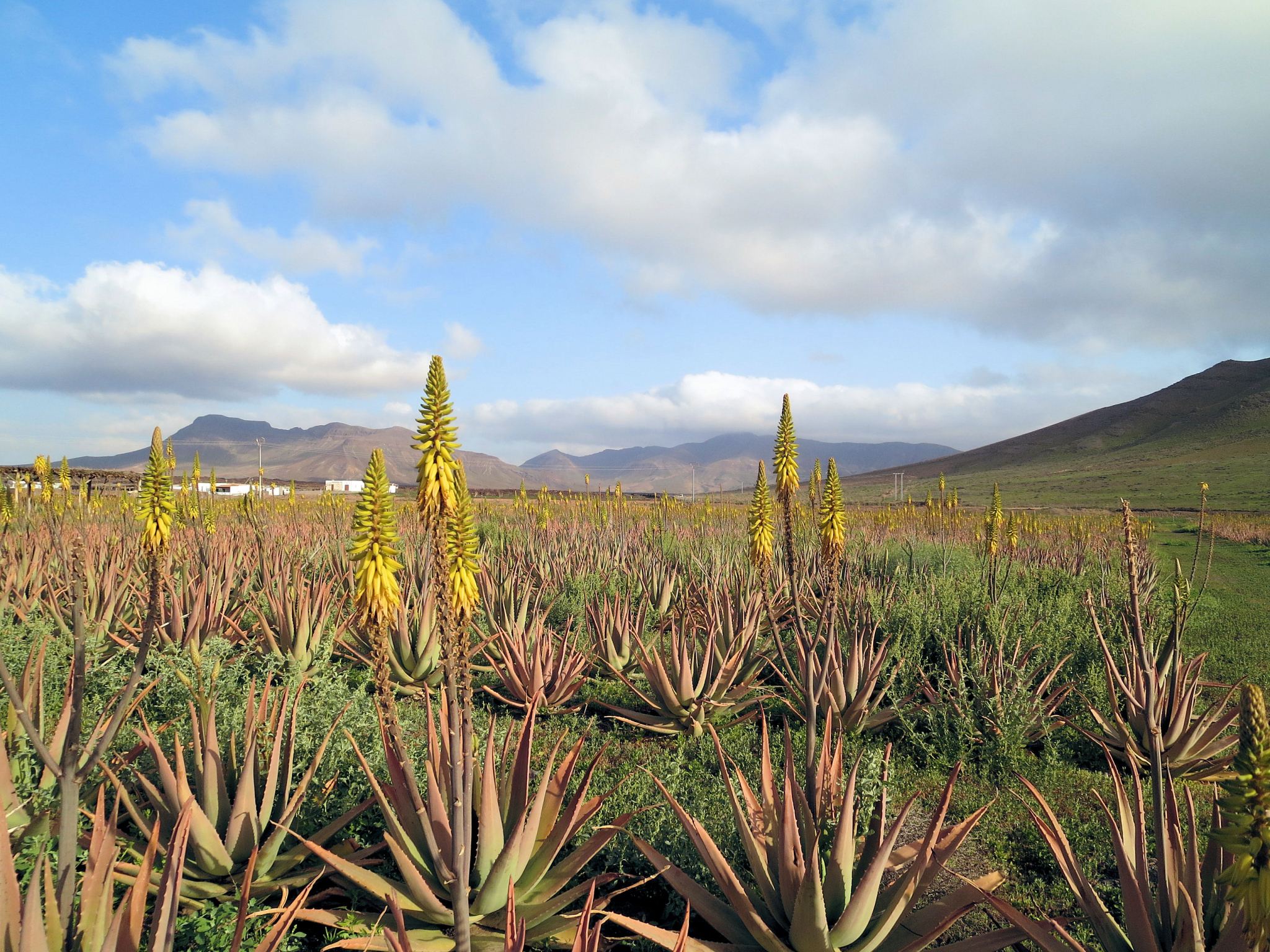 discoverywalking | Discovery Walking Guides & Tour & Trail Maps