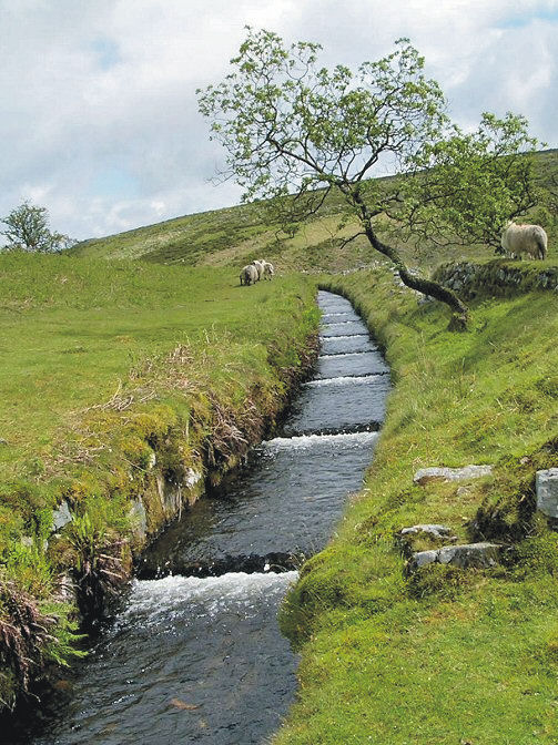 Dartmoor – discover the magic | discoverywalking