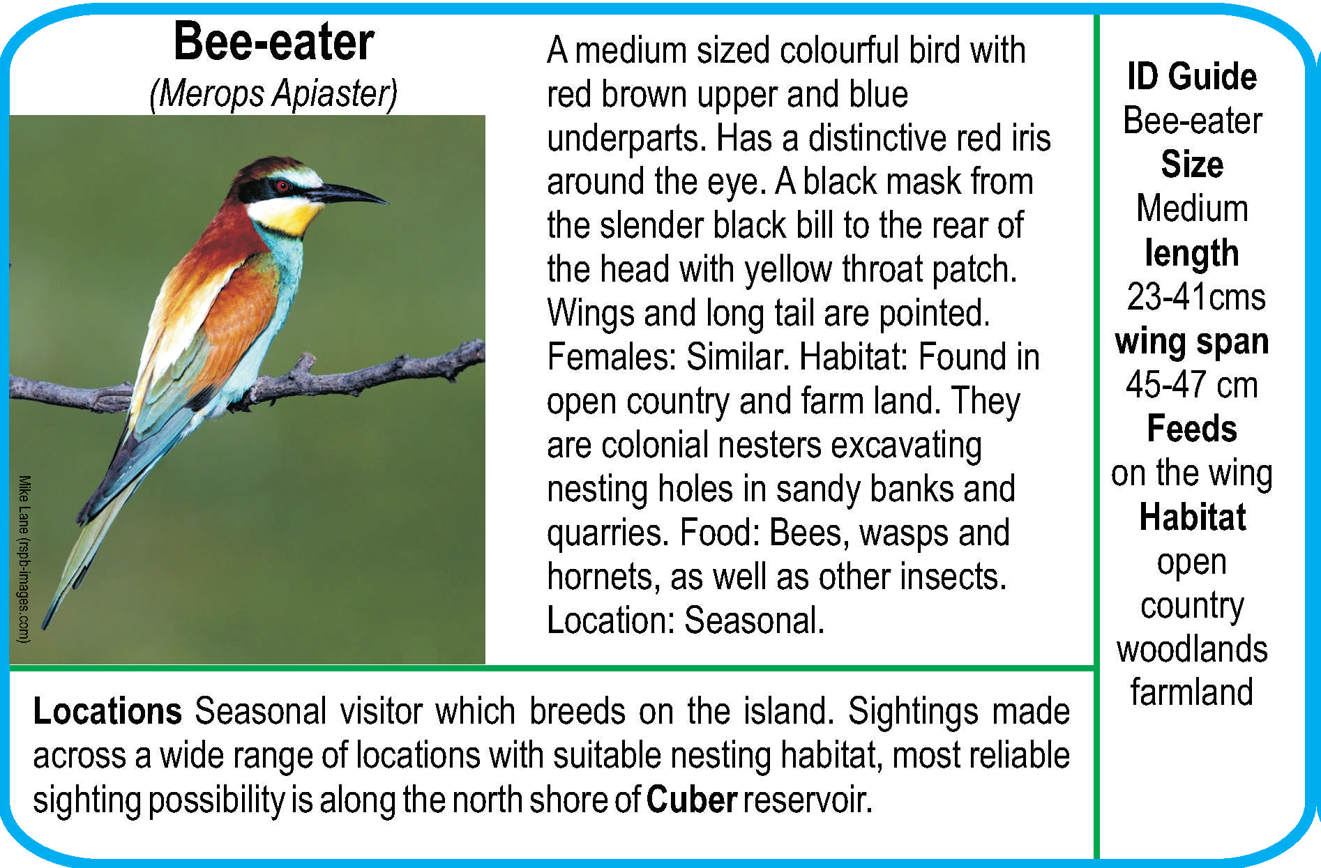 Mallorca; sun, sea, mountains – and Bird Watching too | discoverywalking